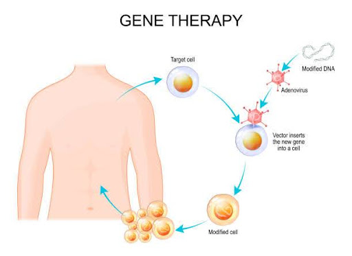 Somatic Cell Gene Therapy: A Breakthrough in Personalized Medicine - Dawaai